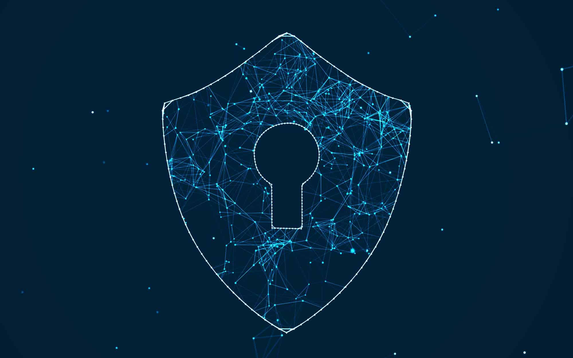 The Importance of Intrusion Detection Systems | Forsyte IT